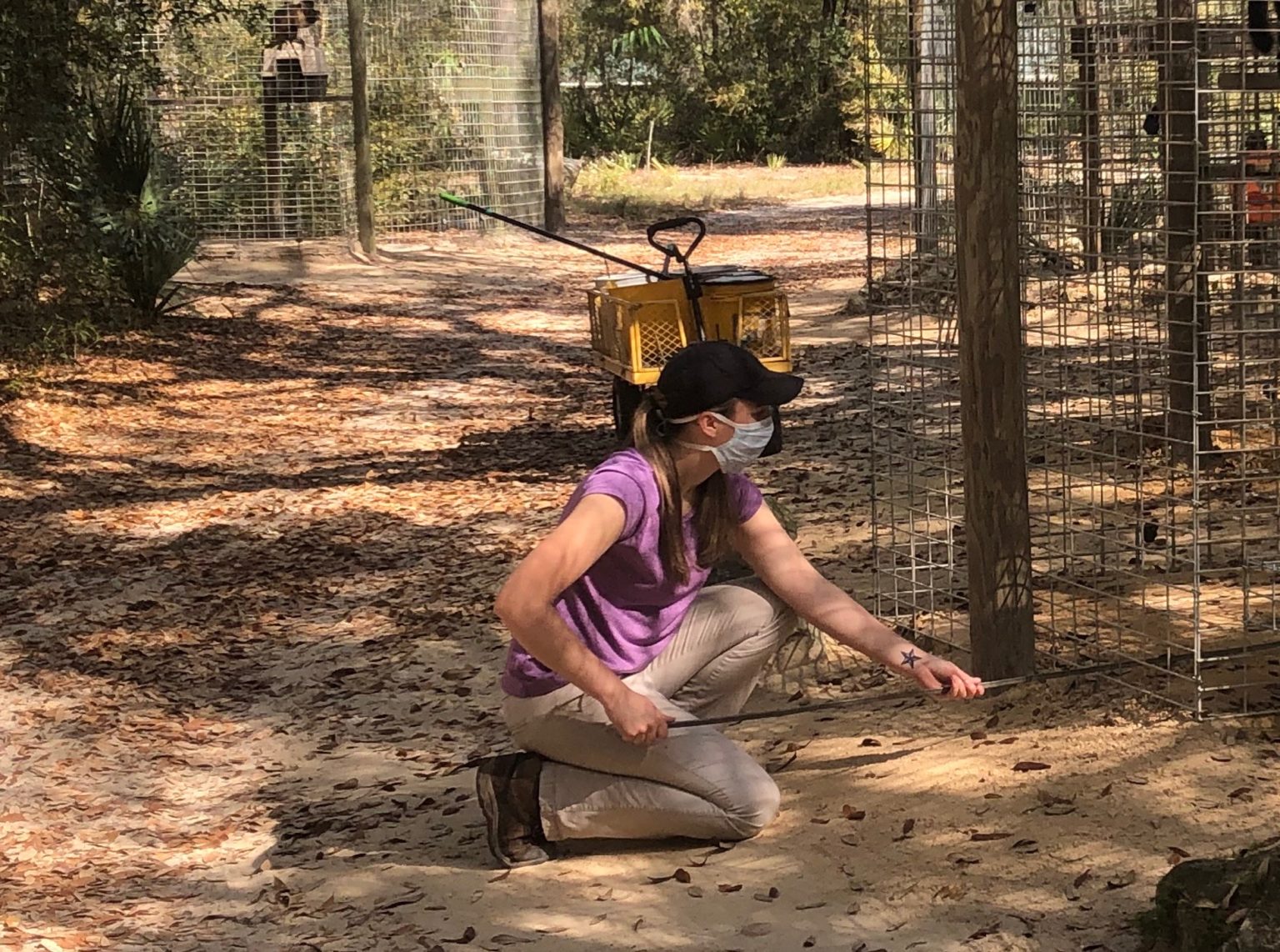 Forest Animal Rescue – Wildlife Sanctuary